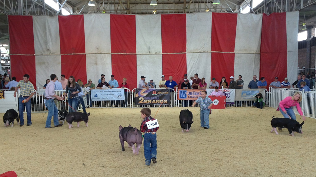World Pork Expo 2013 - Reportajes - 3tres3, la página del Cerdo