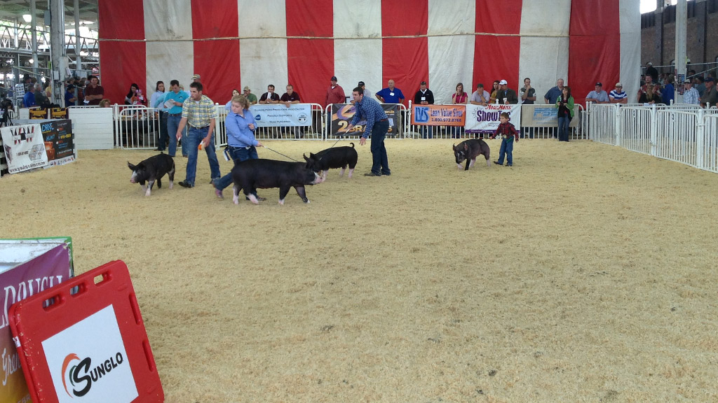 World Pork Expo 2013 - Reportajes - 3tres3, la página del Cerdo