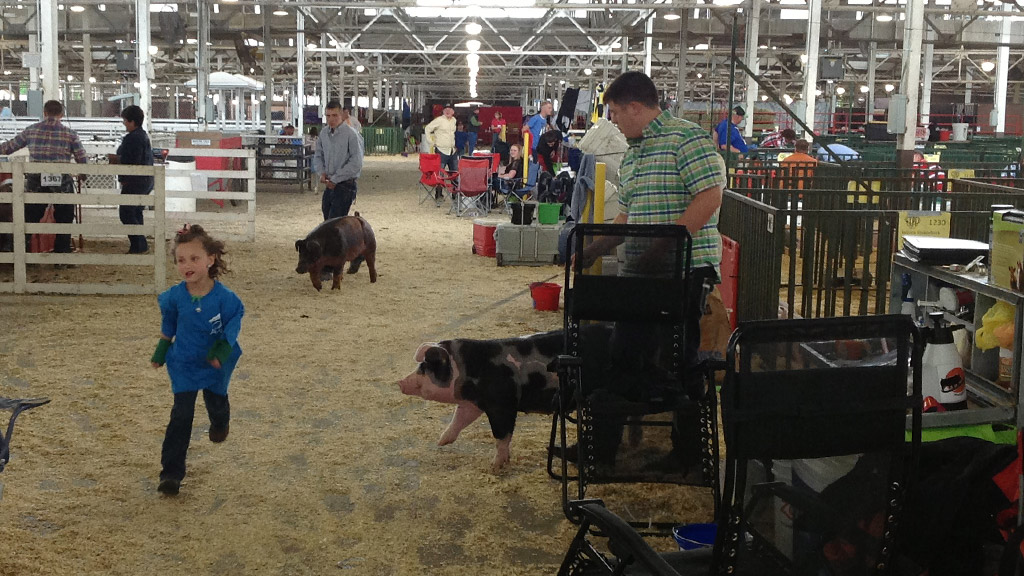 World Pork Expo 2013 - Reportajes - 3tres3, la página del Cerdo