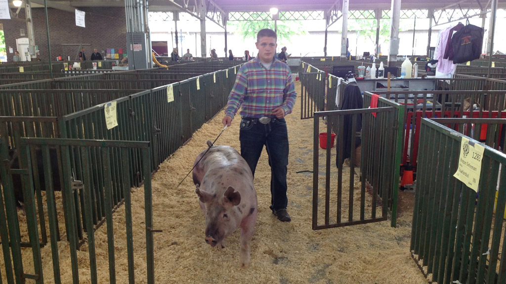 World Pork Expo 2013 - Reportajes - 3tres3, la página del Cerdo