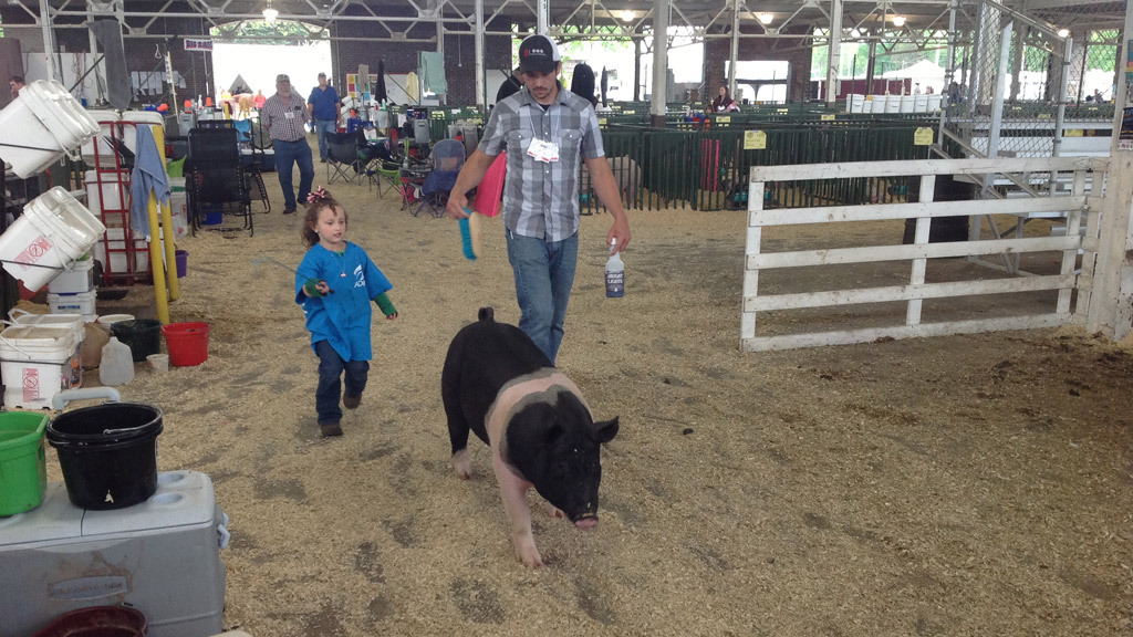 World Pork Expo 2013 - Reportajes - 3tres3, la página del Cerdo