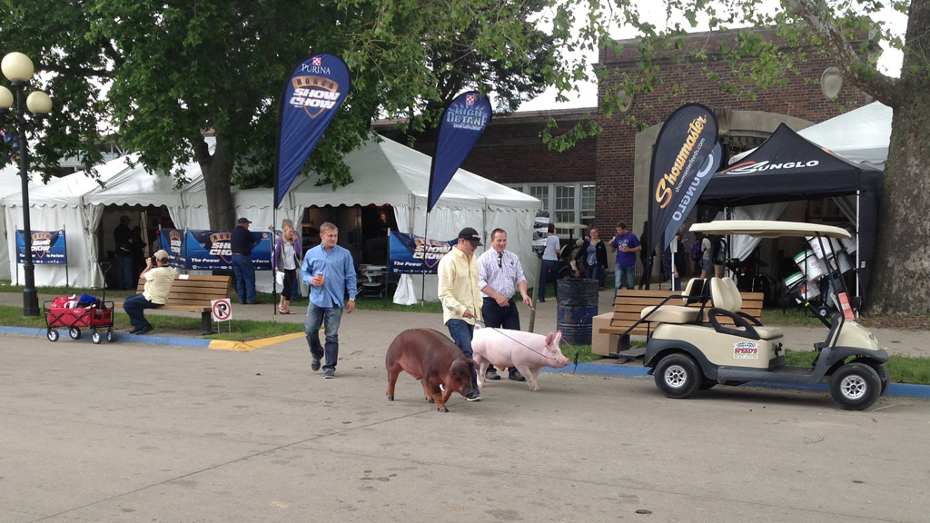 World Pork Expo 2013 - Reportajes - 3tres3, la página del Cerdo