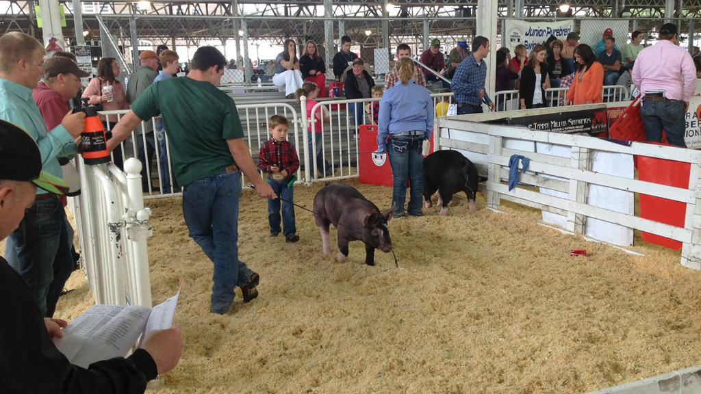 World Pork Expo 2013 - Reportajes - 3tres3, la página del Cerdo