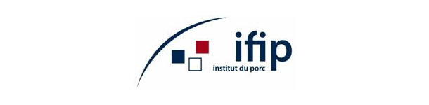 Comentario porcino: publicación de los comentarios del IFIP - Prensa ...