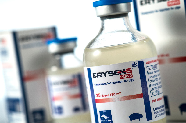 ERYSENG® PARVO, la nueva vacuna de HIPRA contra el Mal Rojo y la Parvo ...