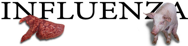 Nueva sección sobre influenza - Prensa 333 - 3tres3, la página del Cerdo