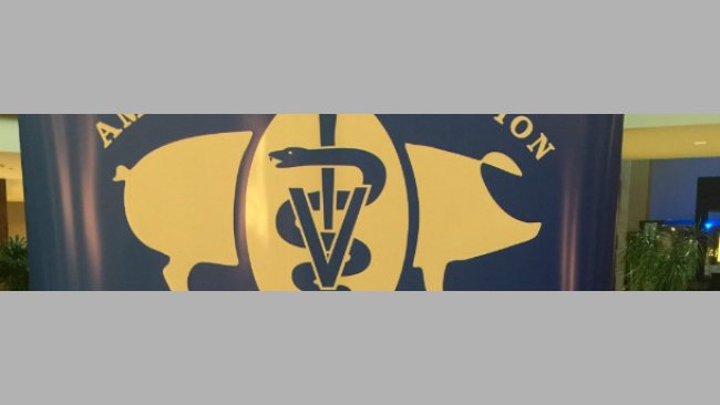 Resumen 49ª reunión anual de la AASV - Artículos - 3tres3, la página ...