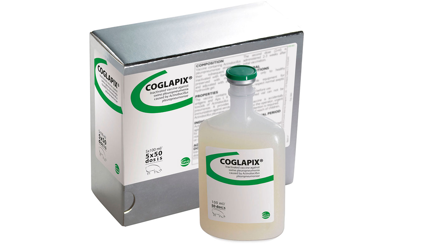 Ceva presenta Coglapix®, la protección que estabas esperando - Notas de ...