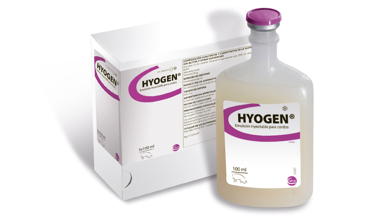 Ceva celebra los 20 millones de cerdos vacunados con Hyogen® en España ...