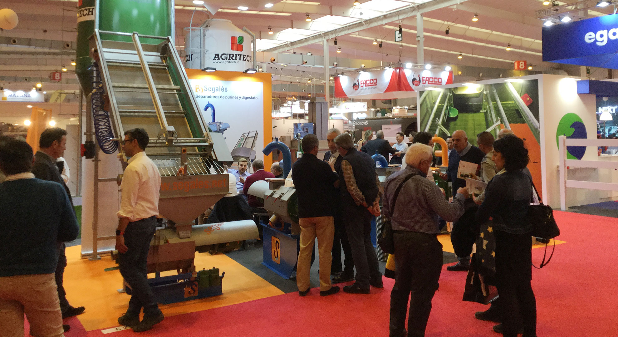 FIGAN 2019 - Reportajes - 3tres3, la página del Cerdo