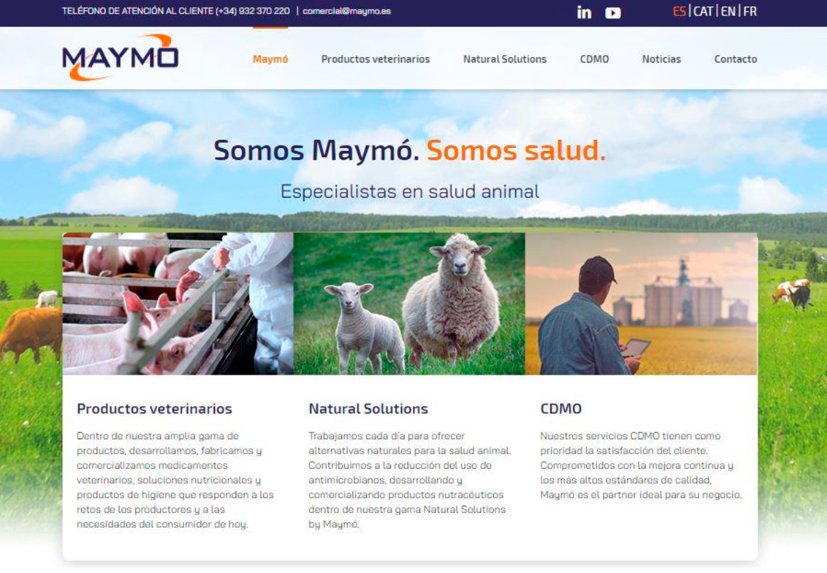 Maymó renueva su página web - Notas de prensa del sector porcino ...