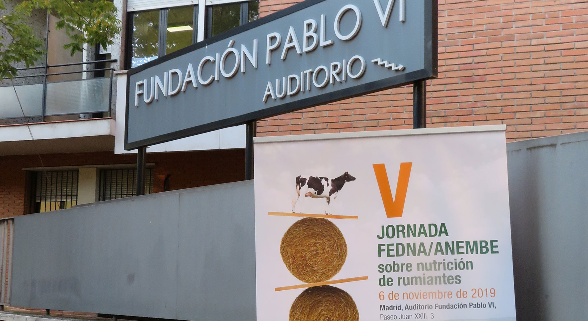 FEDNA 2019 - Reportajes - 3tres3, la página del Cerdo