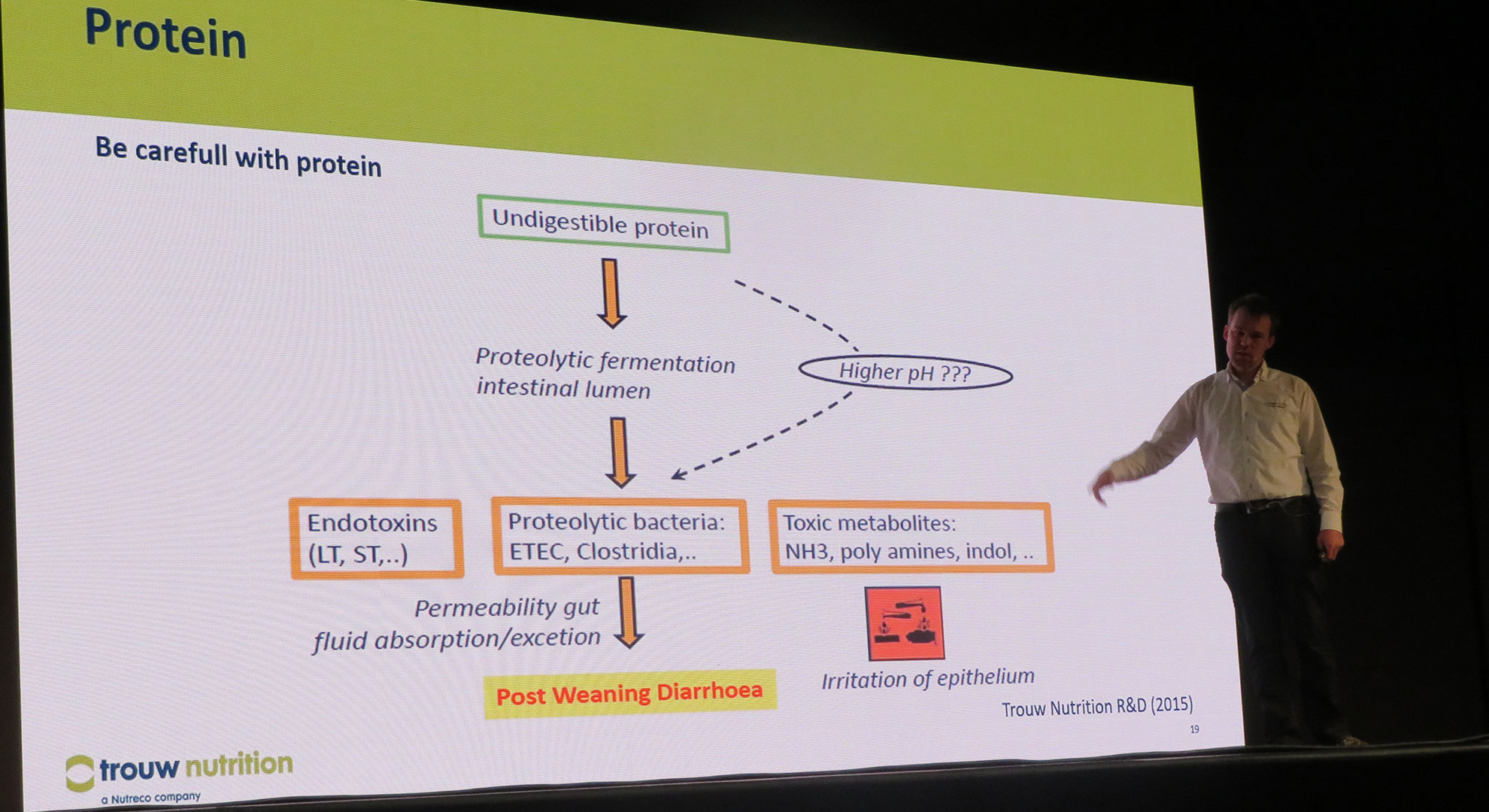 FEDNA 2019 - Reportajes - 3tres3, la página del Cerdo