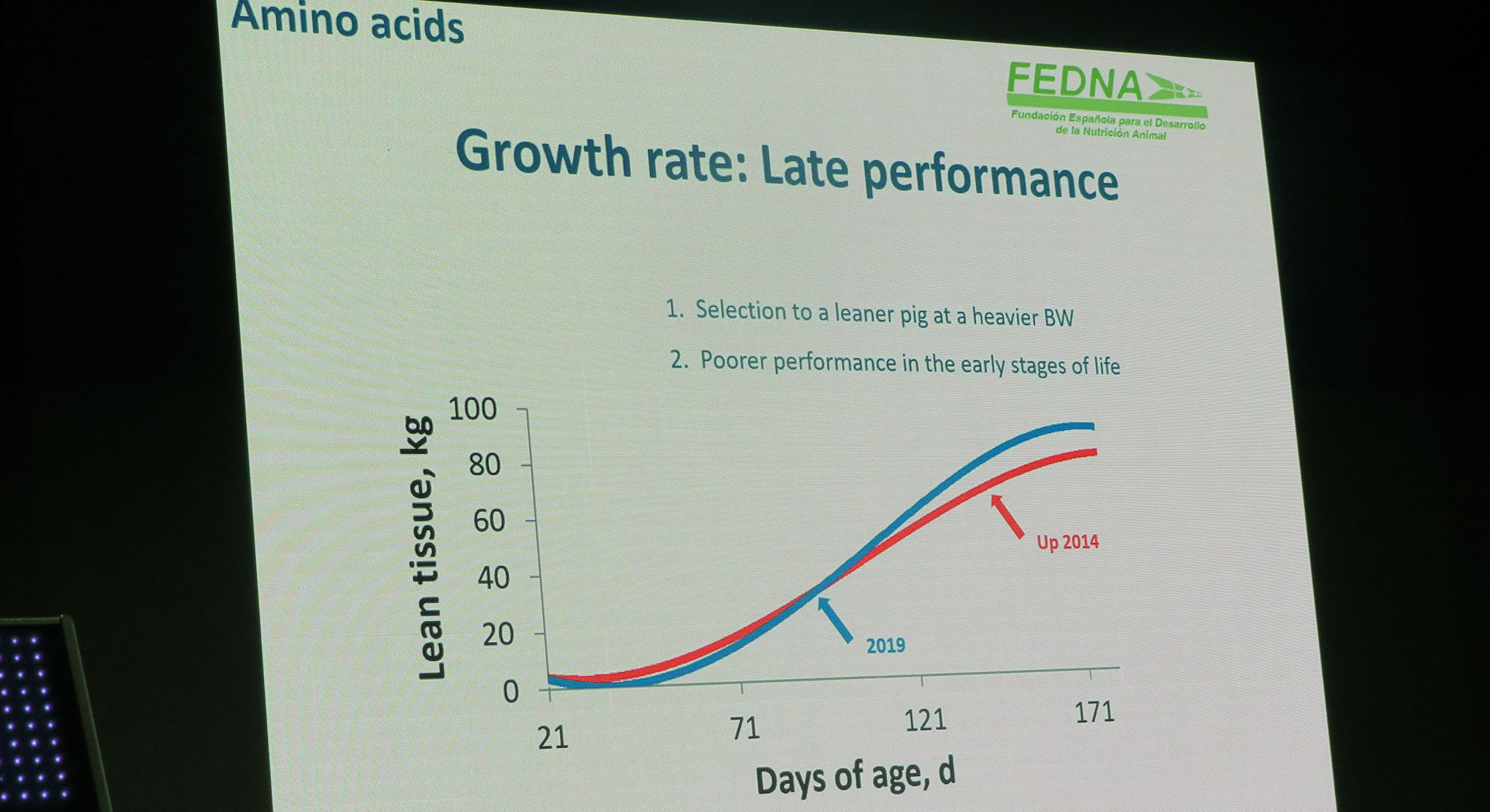 FEDNA 2019 - Reportajes - 3tres3, la página del Cerdo