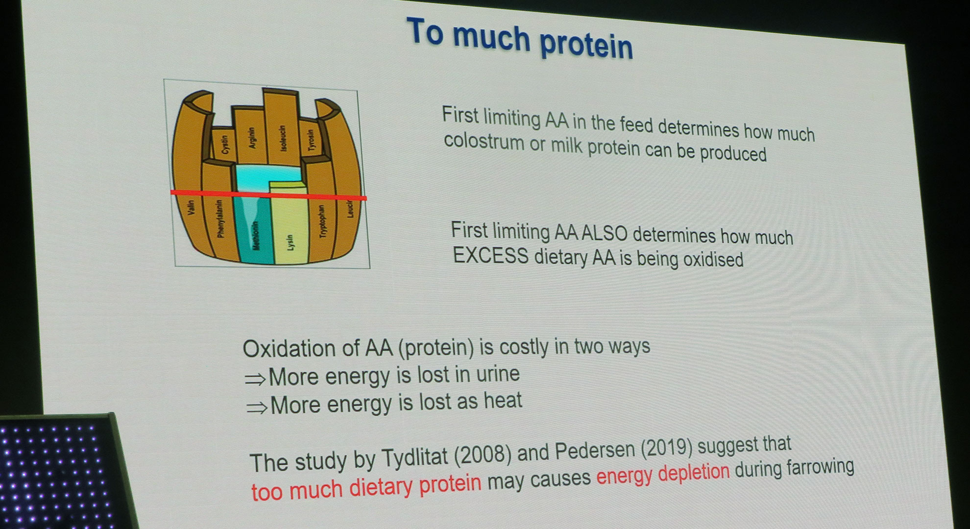 FEDNA 2019 - Reportajes - 3tres3, la página del Cerdo