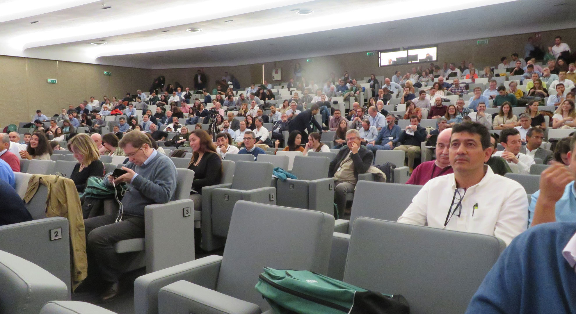 FEDNA 2019 - Reportajes - 3tres3, la página del Cerdo