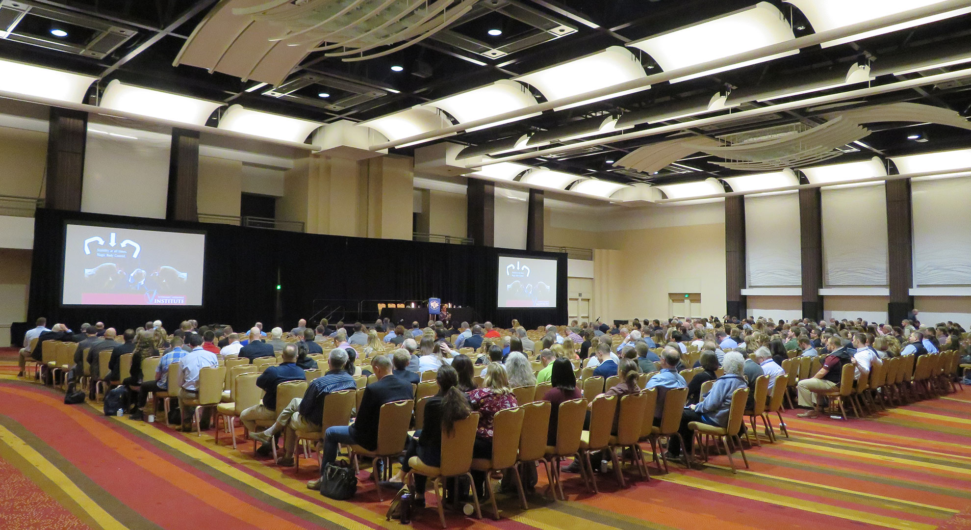 AASV 2020 - Reportajes - 3tres3, la página del Cerdo