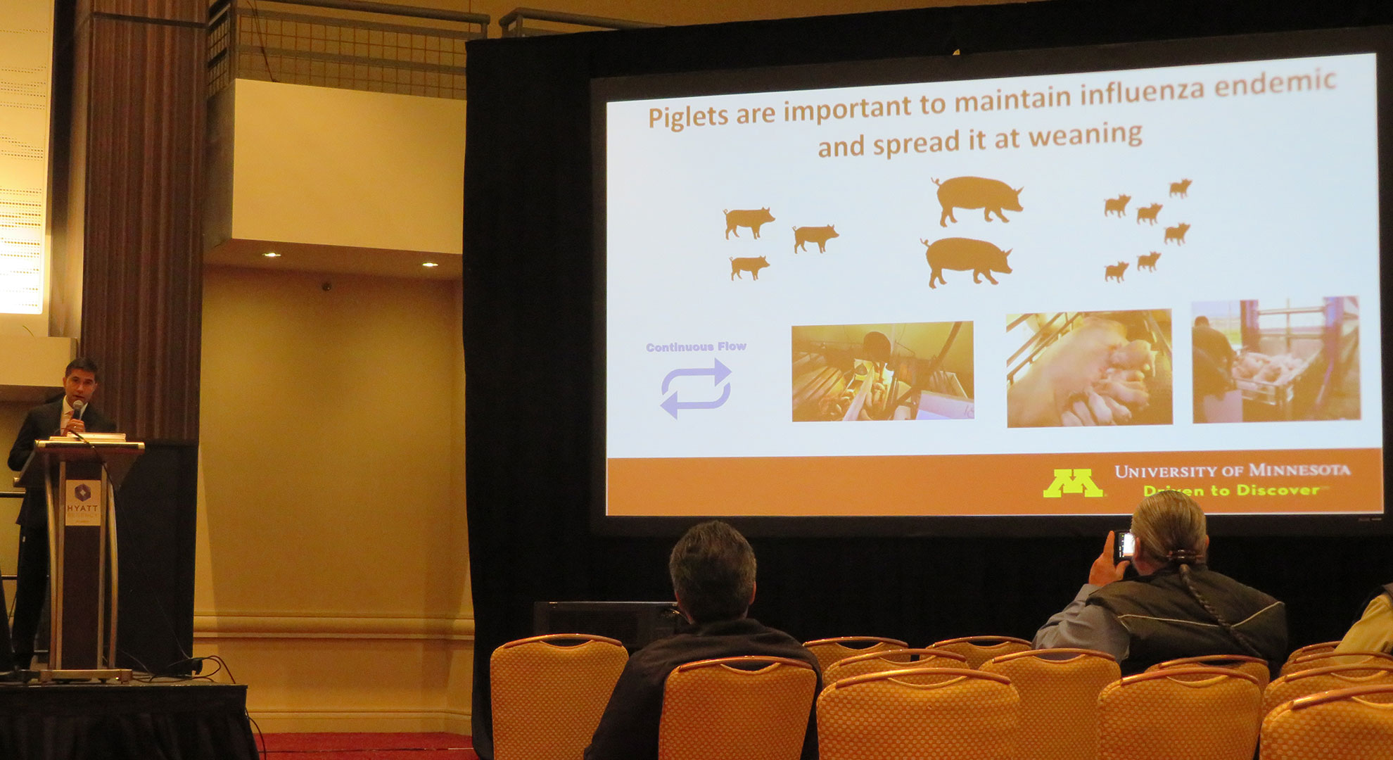 AASV 2020 - Reportajes - 3tres3, la página del Cerdo