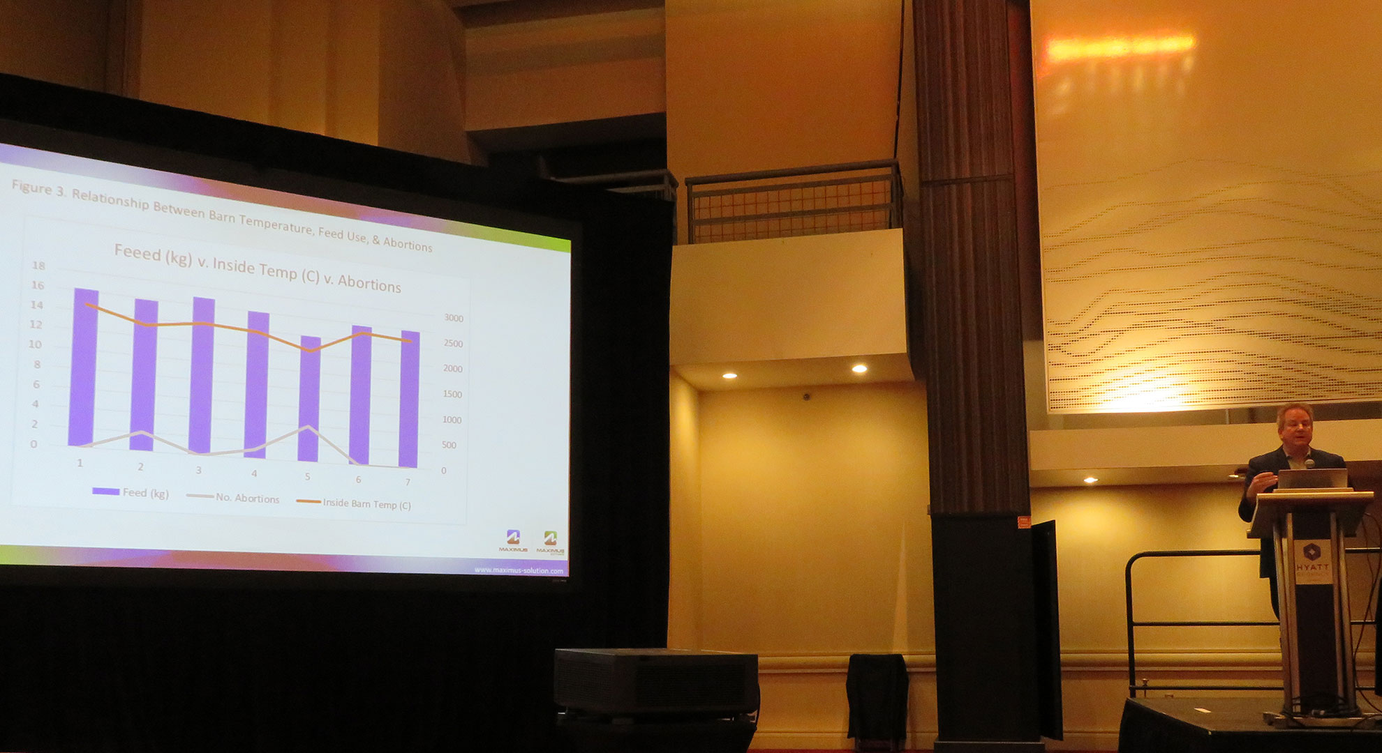 AASV 2020 - Reportajes - 3tres3, la página del Cerdo