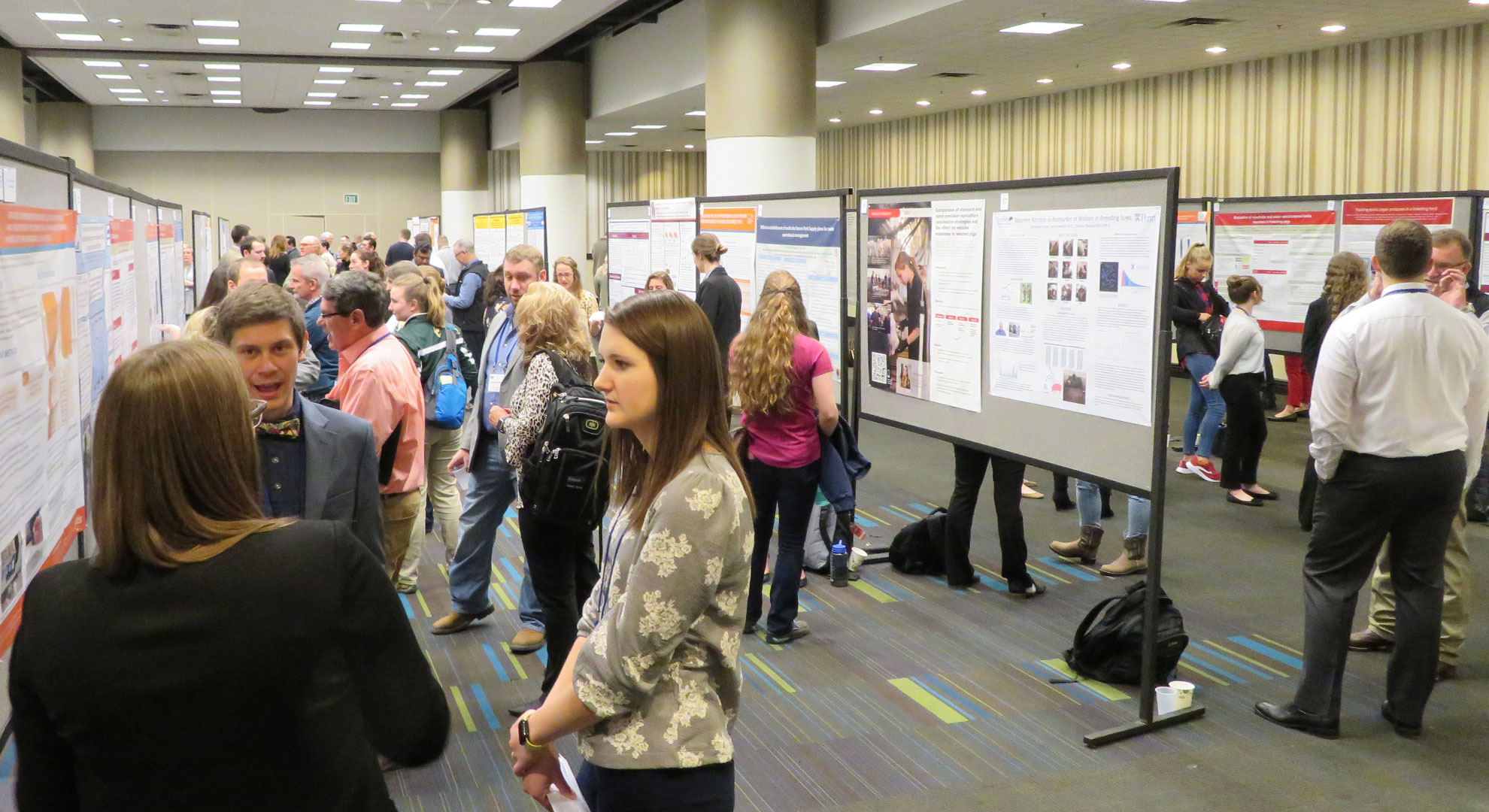 AASV 2020 - Reportajes - 3tres3, la página del Cerdo