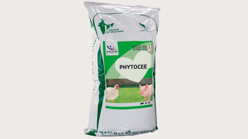 Maymó lanza PHYTOCEE, pienso complementario adaptogénico - Noticias de ...