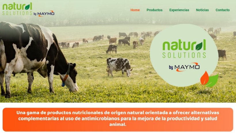 Maymó presenta la nueva página web para su gama Natural Solutions ...