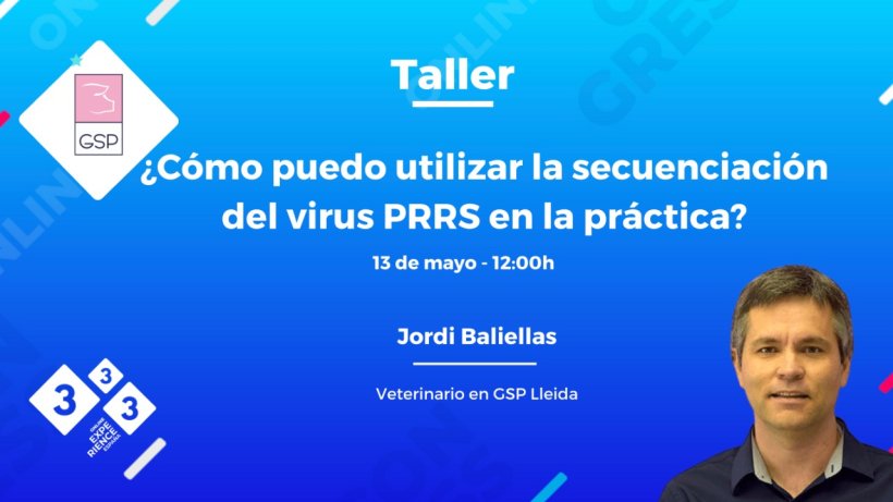Circovirosis en granjas vacunadas y cómo usar la secuenciación de PRRS - Prensa 333 - 3tres3, la ...