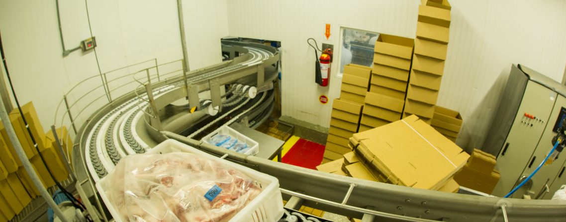 Brasil: nuevo récord histórico de las exportaciones de carne de cerdo ...