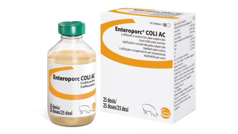 Ceva Salud Animal lanza Enteroporc Coli AC - Notas de prensa del sector ...