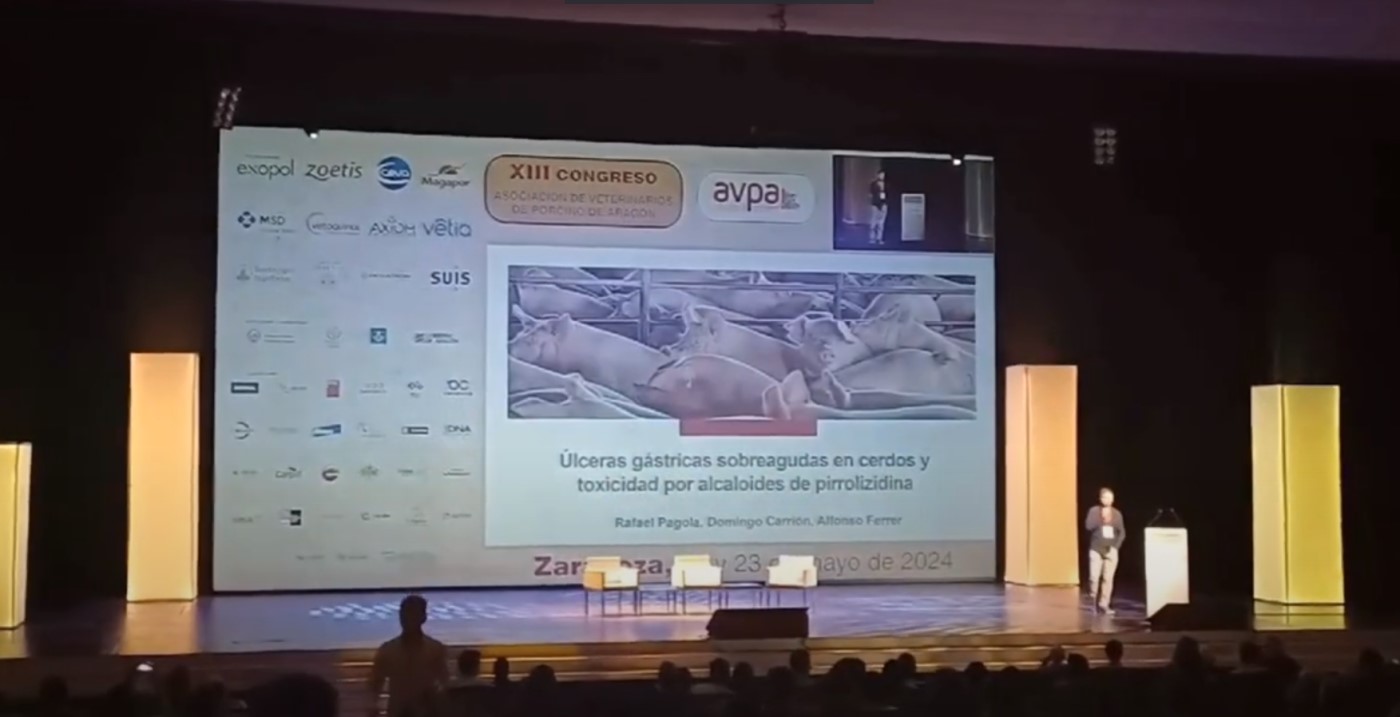 AVPA 2024 - Reportajes - 3tres3, la página del Cerdo