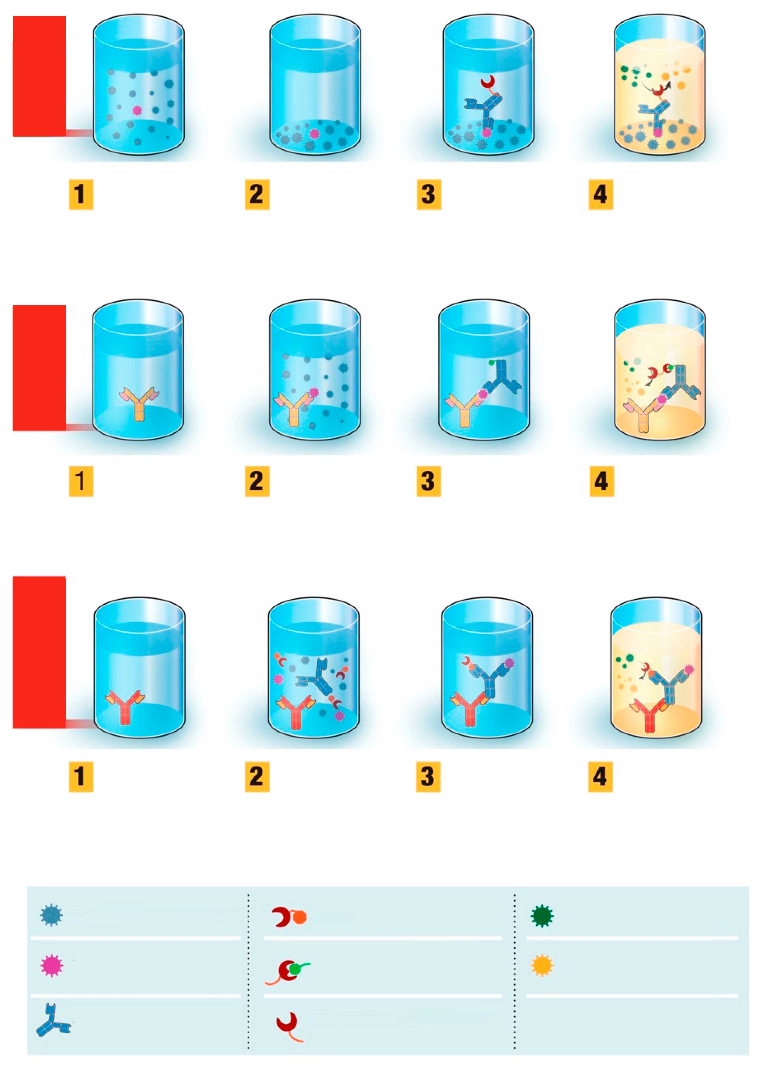 Le test ELISA comme outil de diagnostic (1/2) : principes de base ...