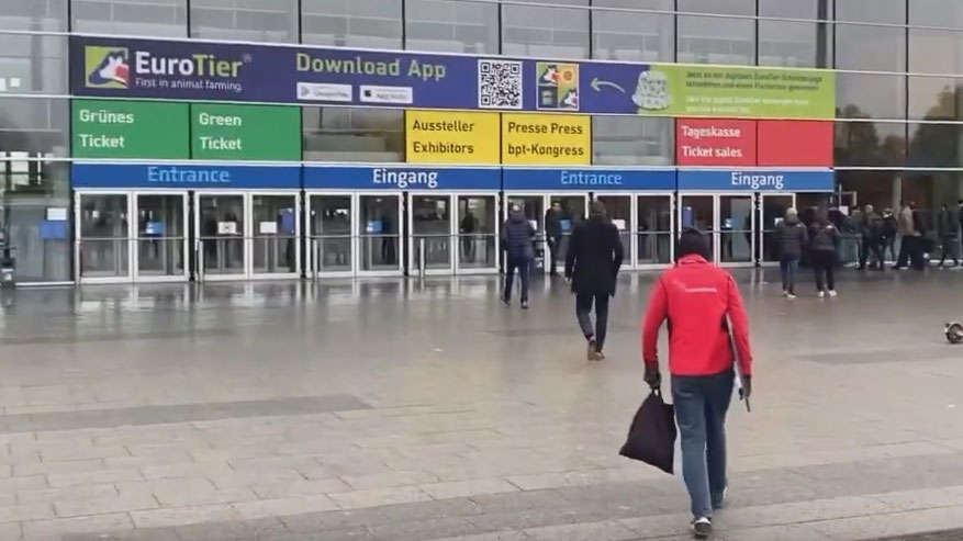 333 team attends EuroTier 2024 in Hannover - Reports - 3tres3, pig to ...