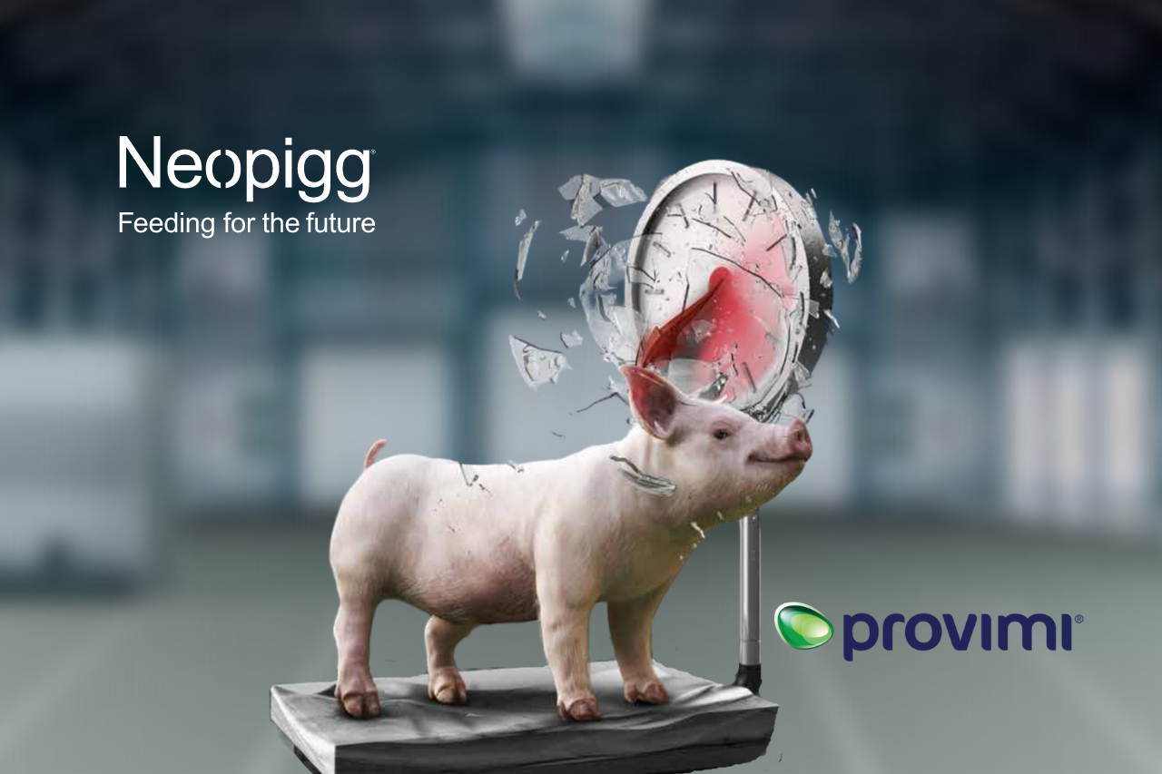 Provimi presenta Neopigg® nueva generación - Directorio de empresas ...