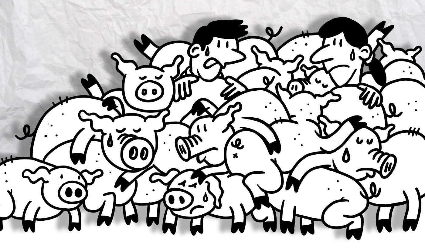 Fruchtbarkeit - Humor - 3tres3.com/de, Alles über Schweine