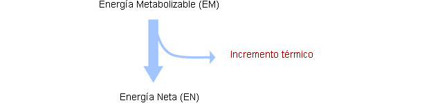 Determinación de la Energía Neta - Artículos - 3tres3 LATAM, la página ...