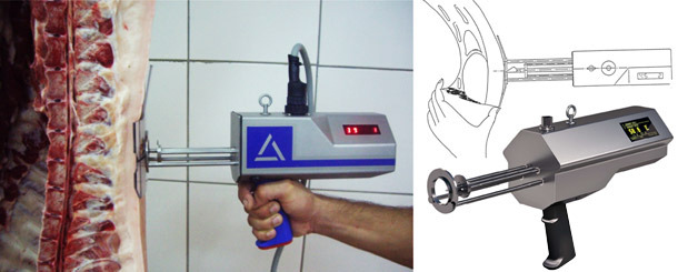 Vista de impresión del artículo La clasificación de canales porcinas en ...