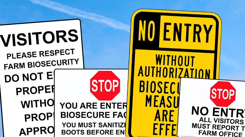 Medidas de bioseguridad para prevenir la transmisión indirecta del PED ...