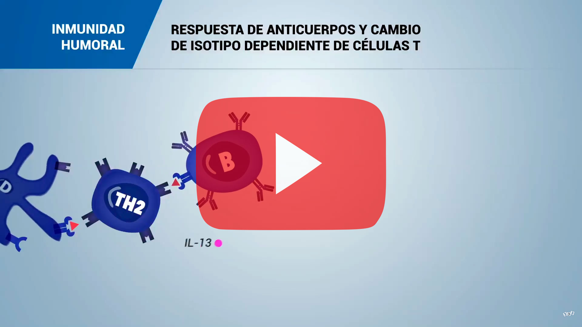 El sistema inmunitario y la inmunidad: Respuesta humoral específica ...