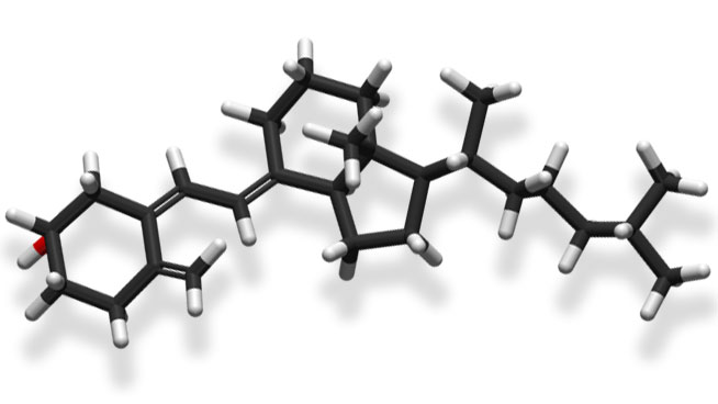 La importancia de la vitamina D para el sistema inmune en cerdos ...