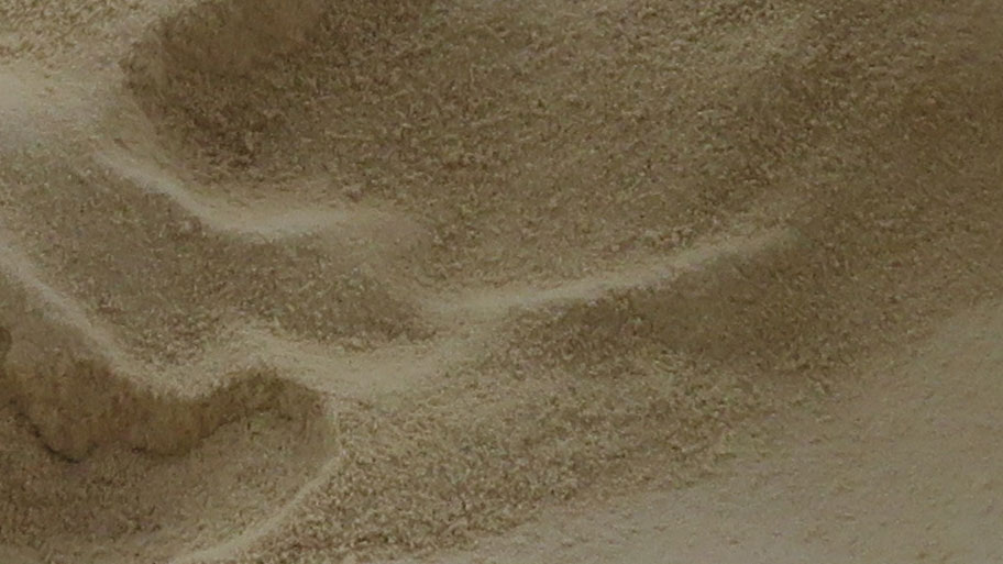 Plasma animal - Artículos - 3tres3 LATAM, la página del Cerdo