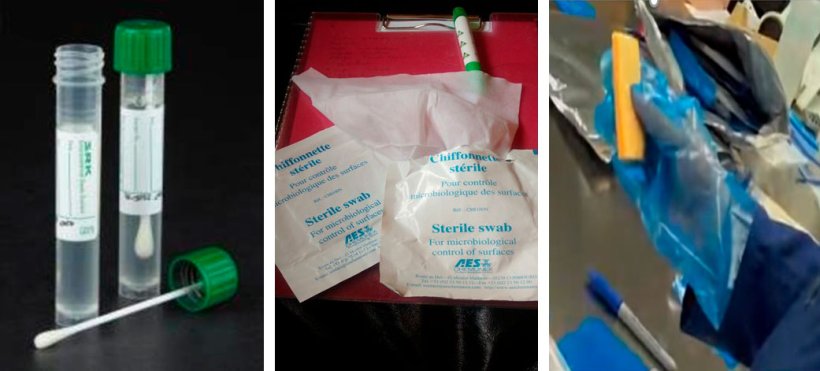 Higiene en camiones de cerdos: validación microbiológica y ATP ...