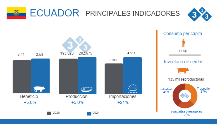 Evolución del sector porcino ecuatoriano - Noticias - 3tres3 LATAM, la página del Cerdo