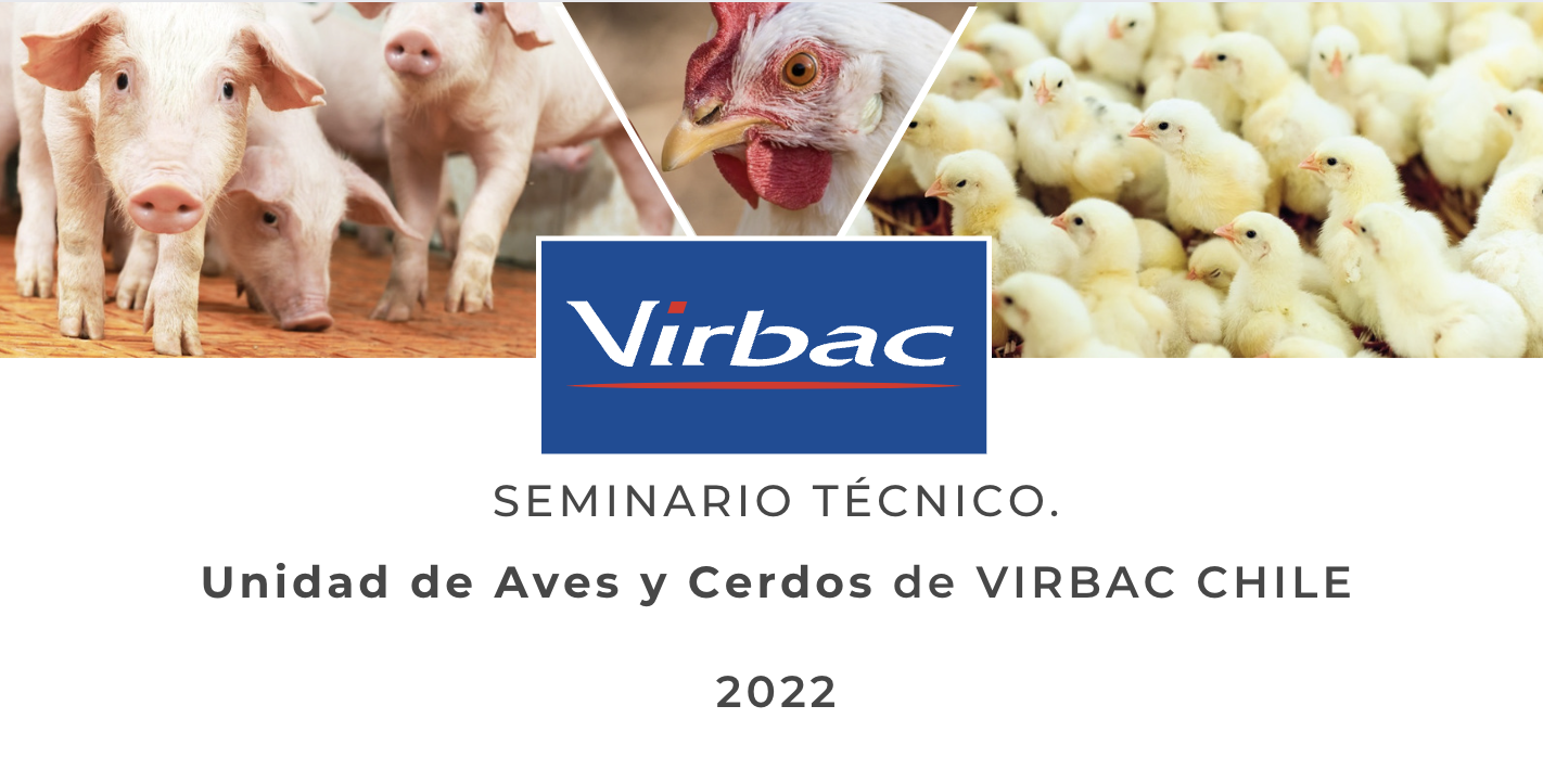 Virbac lanza su marca oficial en Chile - Notas de prensa del sector porcino - 3tres3 LATAM, la ...