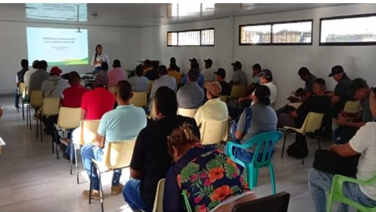 Colombia: Capacitación vacunadores PPC en Córdoba - Noticias - 3tres3 ...