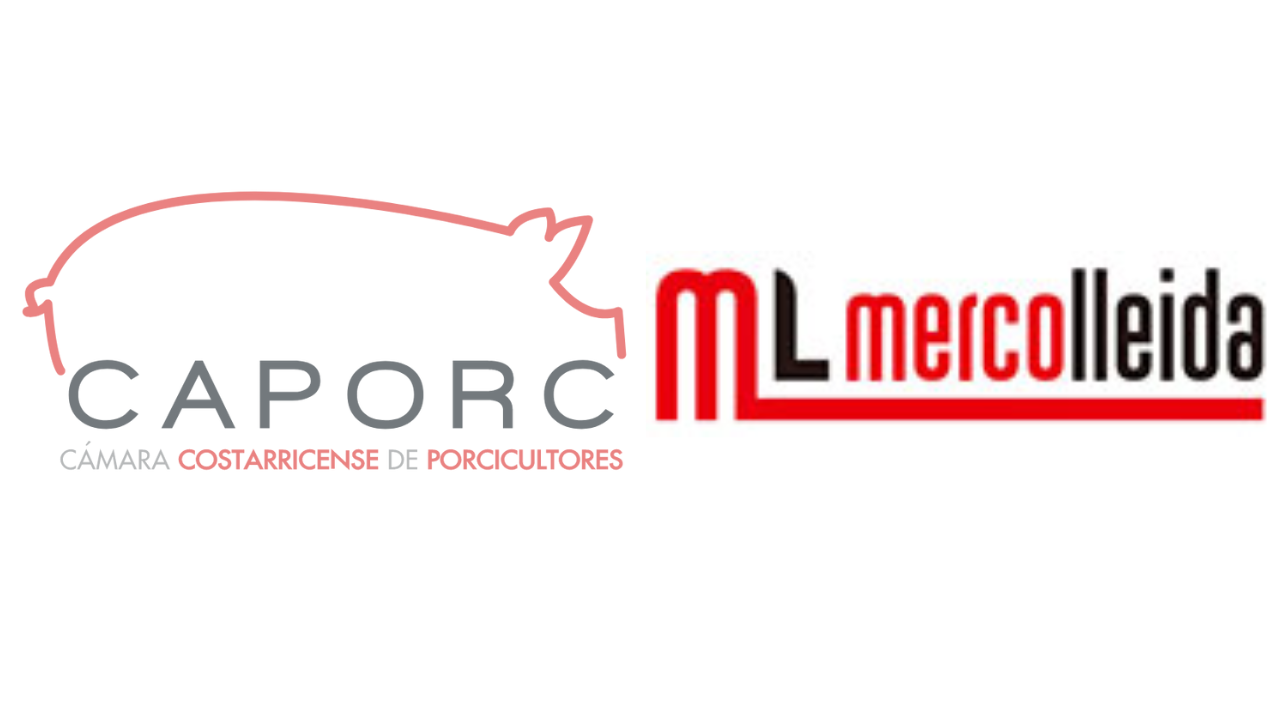 CAPORC trabaja en un precio de referencia para el mercado porcino ...