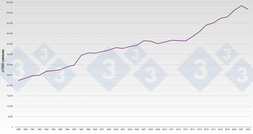 Historia y futuro del sector porcino en España: el crecimiento - Artículos - 3tres3 LATAM, la ...