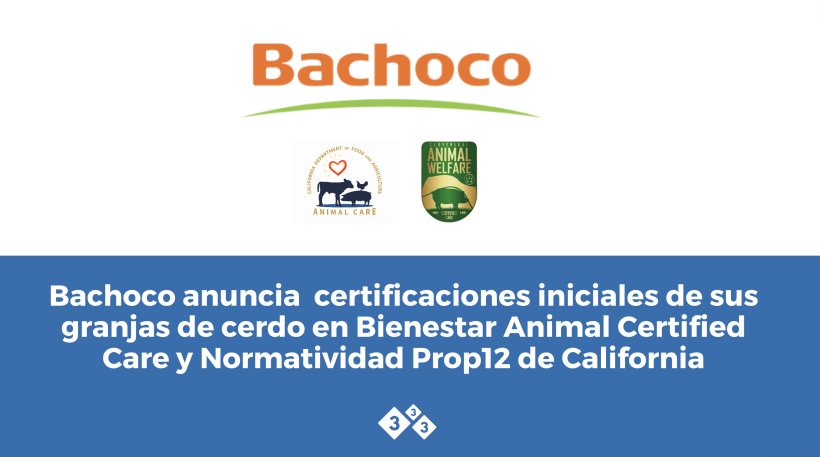 Bachoco anuncia certificaciones iniciales en Bienestar animal - Notas ...