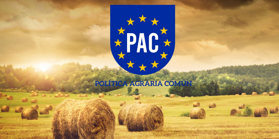 Una PAC competitiva y centrada en los agricultores - Noticias - 3tres3 ...