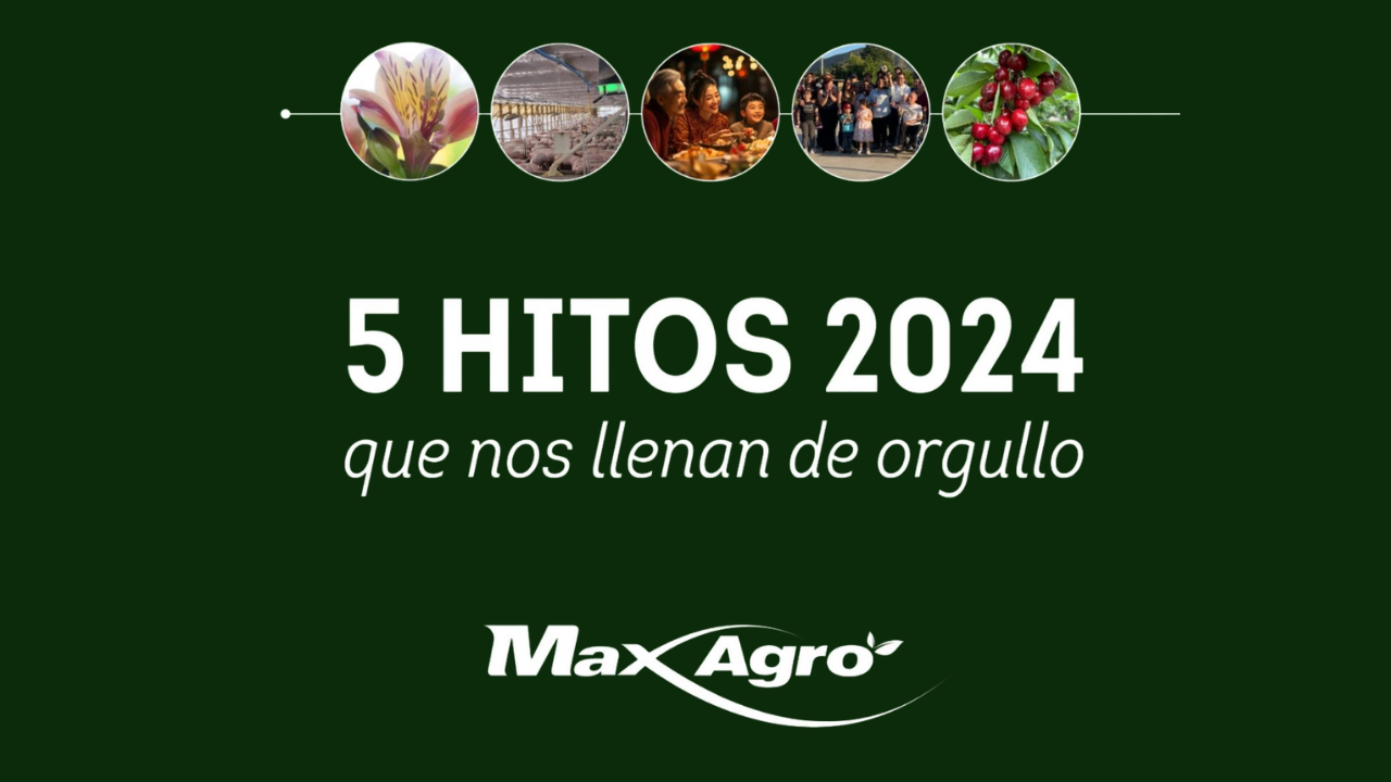 Maxagro: Principales logros en 2024 y reconocimiento a un gran equipo ...