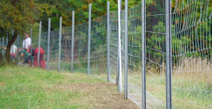 PPA en Alemania: Brandenburg construye una valla sólida en la frontera ...